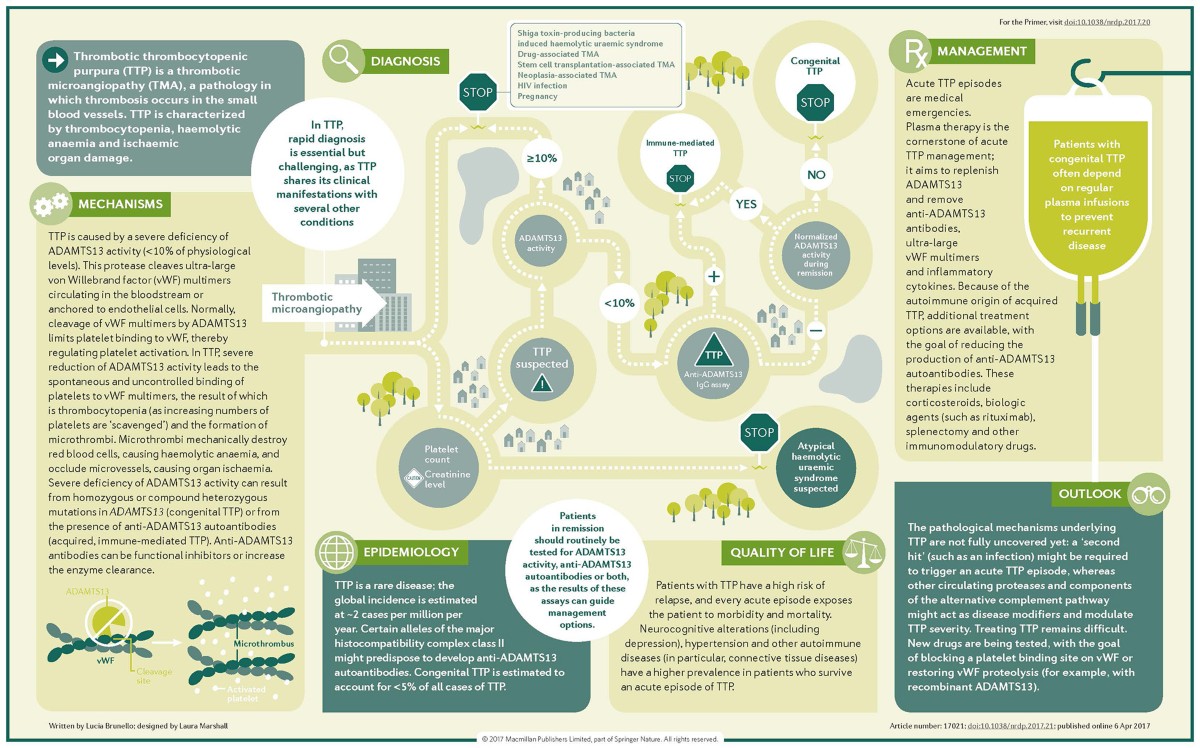 Thrombotic thrombocytopenic purpura | Nature Reviews Disease Primers