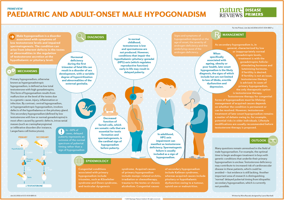Paediatric and adult-onset male hypogonadism | Nature Reviews Disease ...