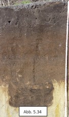 Neuer Boden | SpringerLink