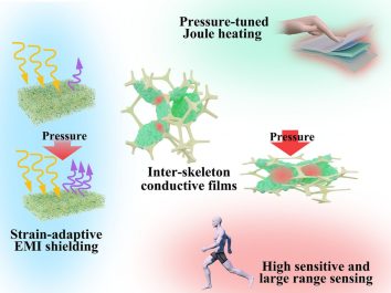 Inter-Skeleton Conductive Routes Tuning Multifunctional Conductive Foam ...