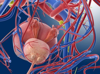 Benigne Prostatahyperplasie | Interventionelle Therapie der benignen ...