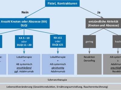 Acne inversa | Acne inversa/Hidradenitis suppurativa: Ein Update ...