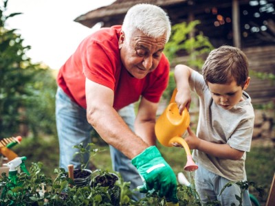Osteosynthese | Technik und Biomechanik der Bohr-Draht(Kirschner-Draht ...