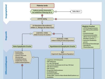 Pubertas tarda | Aktualisierte Handlungsempfehlung nach der S1 ...