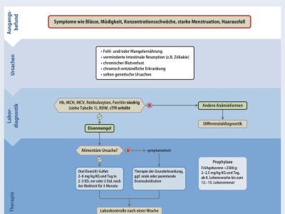 Thalassämien | Handlungsempfehlung nach der S1-Leitlinie Thalassämien ...