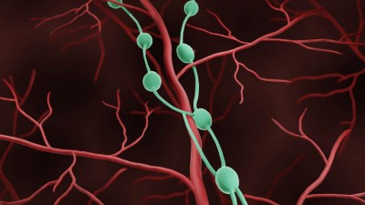 No benefit of extended lymphadenectomy in localized MIBC ...