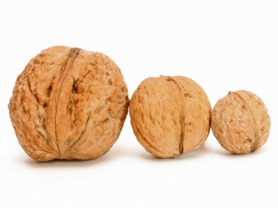 Prävention und Gesundheitsförderung | Eine klinisch harte Nuss ...