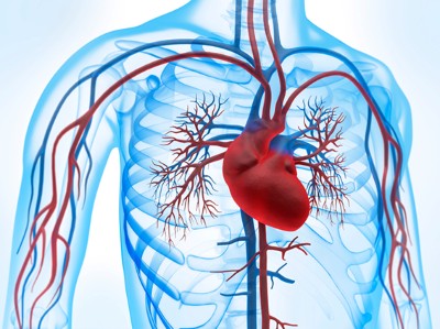 Kardiologie | Karlman Wasserman (1927–2020) | springermedizin.at