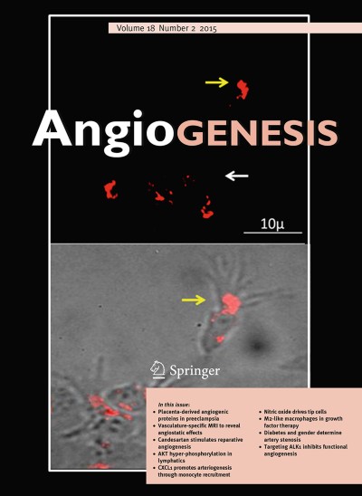 Vasculature-specific MRI reveals differential anti-angiogenic effects ...