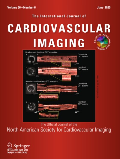 Magnetic Resonance Imaging | The accuracy of compressed sensing ...