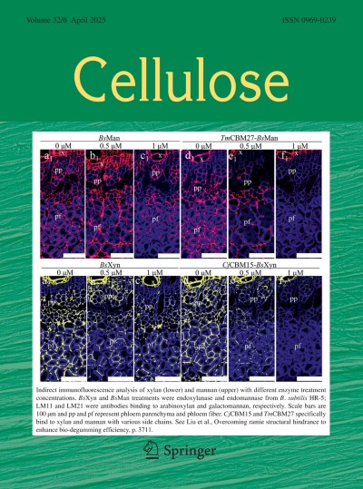 Cellulose 14/2025 | springerprofessional.de
