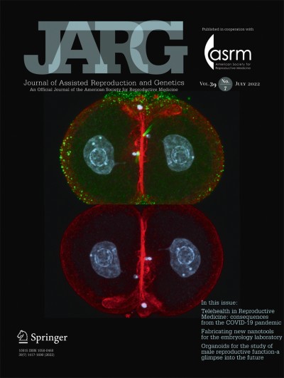 A brief history of testicular organoids: from theory to the wards ...