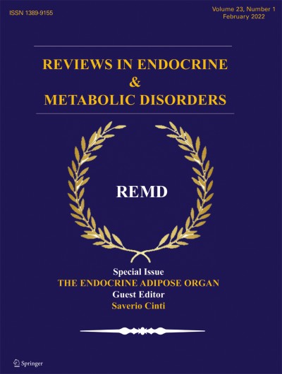 The endocrine role of brown adipose tissue: An update on actors and ...