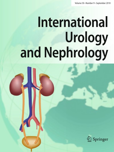 Experience of percutaneous nephrolithotomy with the creation of ...