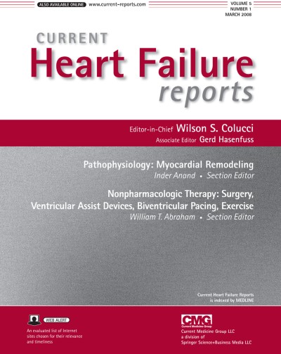 Magnetic resonance imaging in the assessment of ventricular remodeling ...