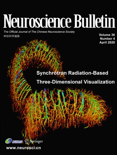 Imaging Three-Dimensional Microvascular Networks of Brain with ...