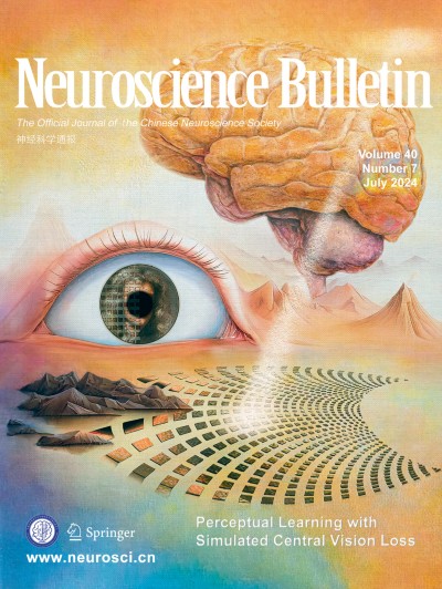 Dynamic Organization of Large-scale Functional Brain Networks Supports ...