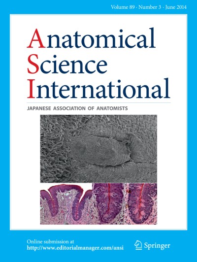 Arterial system of the atrium in the human heart | springermedicine.com