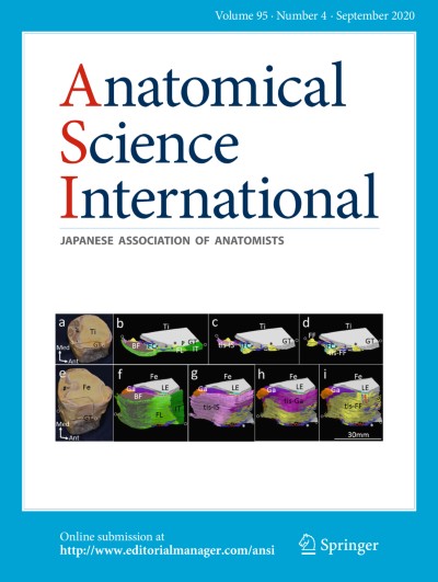 CSF Drainage | Thiel’s embalming method with additional intra-cerebral ...