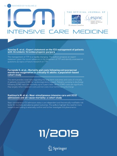 ICU staffing feature phenotypes and their relationship with patients ...