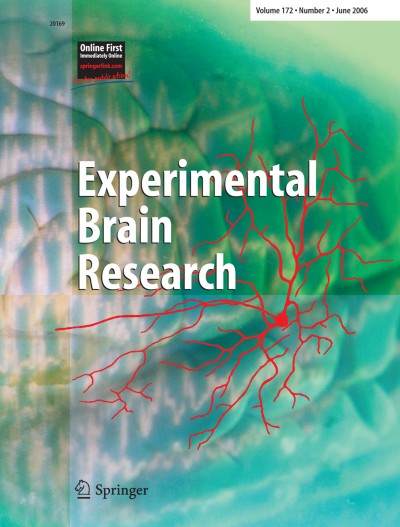 Modeling postural instability with Galvanic vestibular stimulation ...
