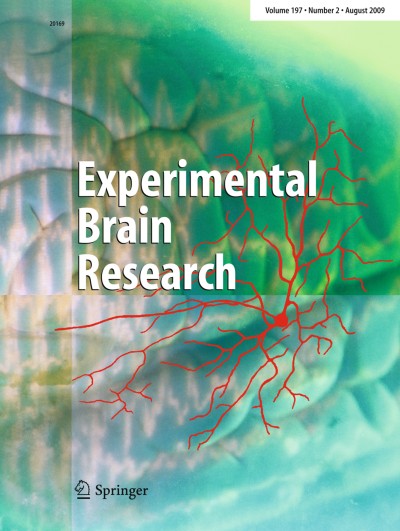 Sensory information in perceptual-motor sequence learning: visual and/or tactile stimuli ...
