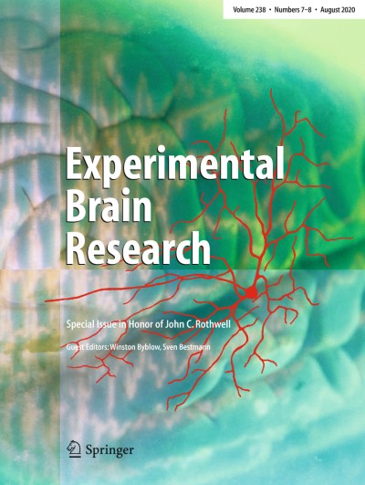 Transcranial Magnetic Stimulation | Transcranial magnetic stimulation ...
