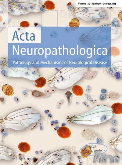 Physiological amyloid-beta clearance in the periphery and its ...