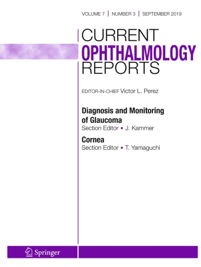 Artificial Intelligence in Corneal Diagnosis: Where Are we ...