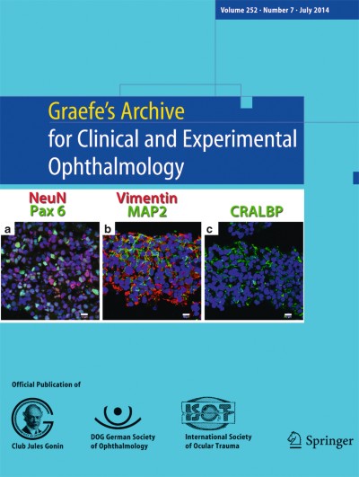 Corneal nerve alterations in different stages of Fuchs’ endothelial ...