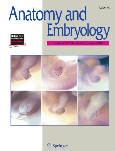 High-resolution episcopic microscopy: a rapid technique for high ...