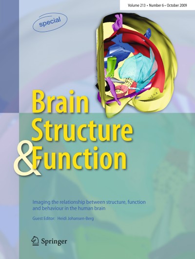 Imaging the relationship between structure, function and behaviour in the human brain ...