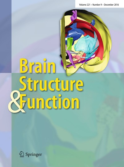 Attentional function and basal forebrain cholinergic neuron morphology ...