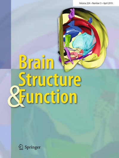 Magnetic Resonance Imaging | Local-to-distant development of the ...