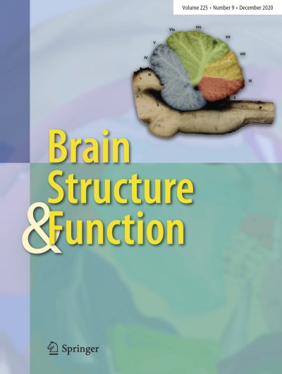 Brain Structure and Function 9/2020 | springermedicine.com