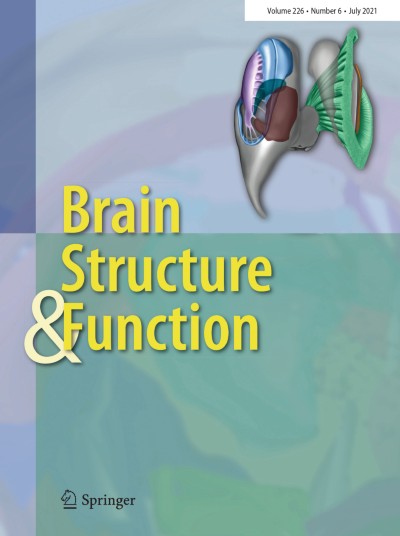 Brain Structure and Function 6/2021 | springermedicine.com