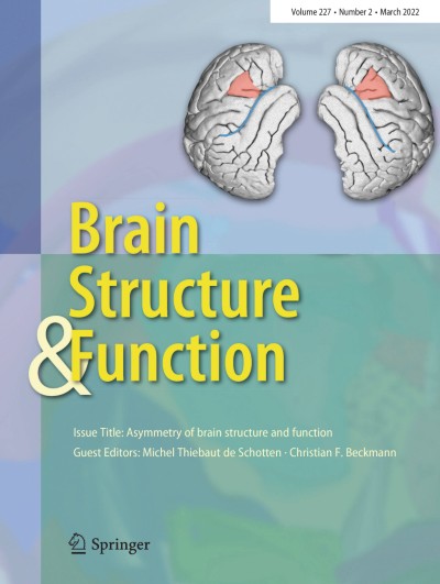 Asymmetry of brain structure and function: 40 years after Sperry’s ...