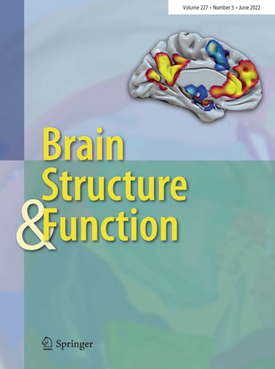 Tasks Activating The Default Mode Network Map Multiple Functional