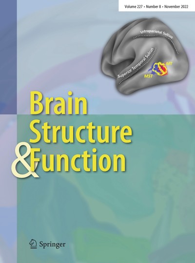 Fixation-related fMRI analysis reveals the neural basis of parafoveal ...