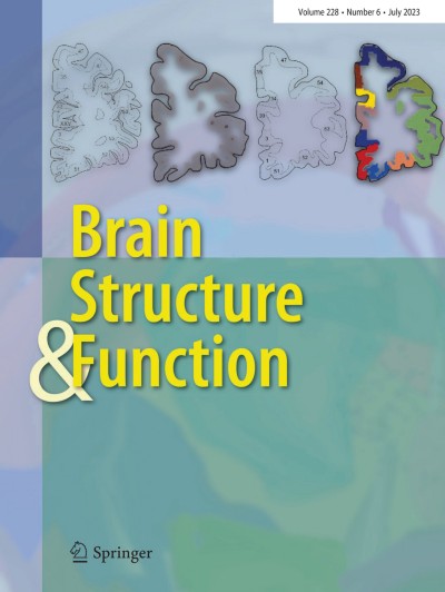 A new 3D myeloarchitectonic map of the human neocortex based on data ...