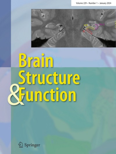 Magnetic Resonance Imaging | ProbaStem, a pipeline towards the first ...