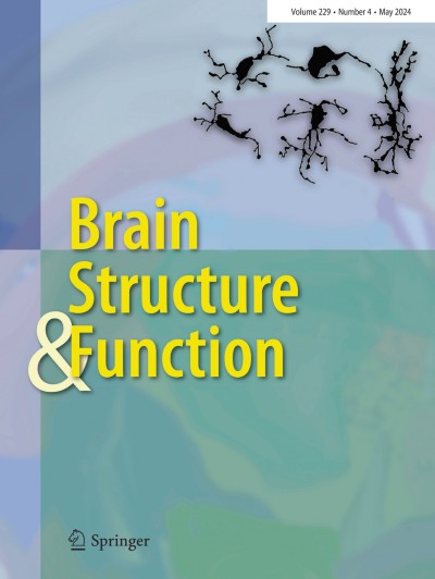 Rodent maze studies: from following simple rules to complex map ...