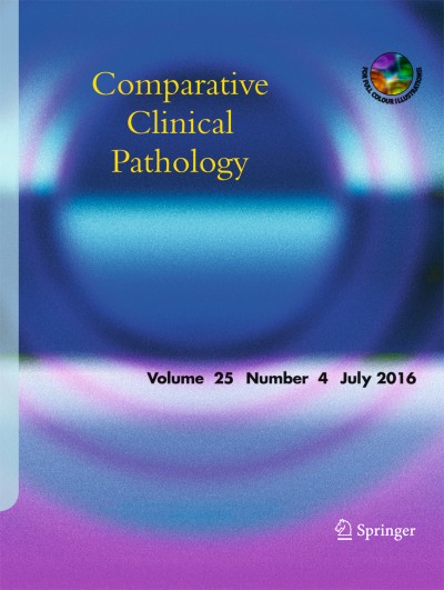 Pathology of emphysematous reticulitis in cattle: report of two cases ...
