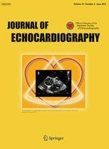 Left ventricular undulation in a patient with atrial flutter ...