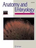 Testis structure, spermatogenesis, spermatocytogenesis, and sperm ...