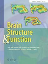 Brain Structure and Function 4/2022 | springermedicine.com