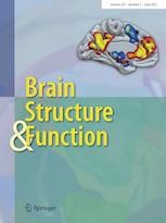 Tasks activating the default mode network map multiple functional systems | springermedicine.com