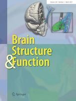 Brain Structure and Function 2/2023 | springermedicine.com
