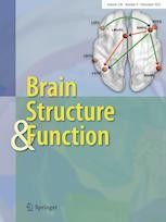 Brain Structure and Function | springermedicine.com