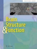 Brain Structure and Function 1/2024 | springermedicine.com
